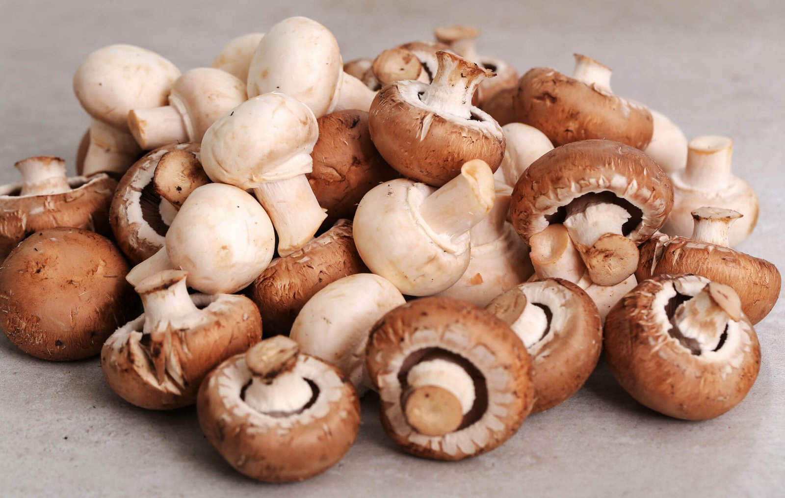 Shiitake grybai ir jų nauda sveikatai: kuo jie tokie ypatingi ...