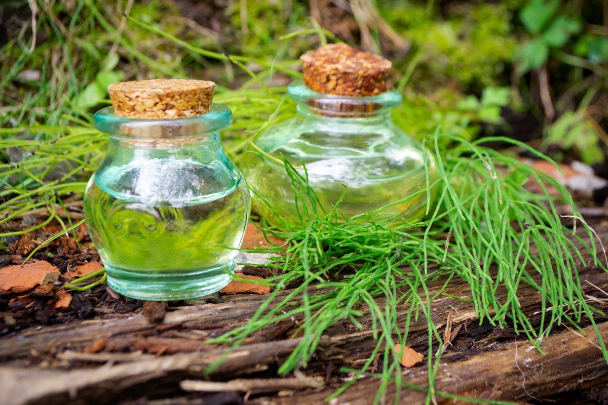 Kai galva visą dieną sunki – šis nuoviras valo limfą ir mažina tinimą ...